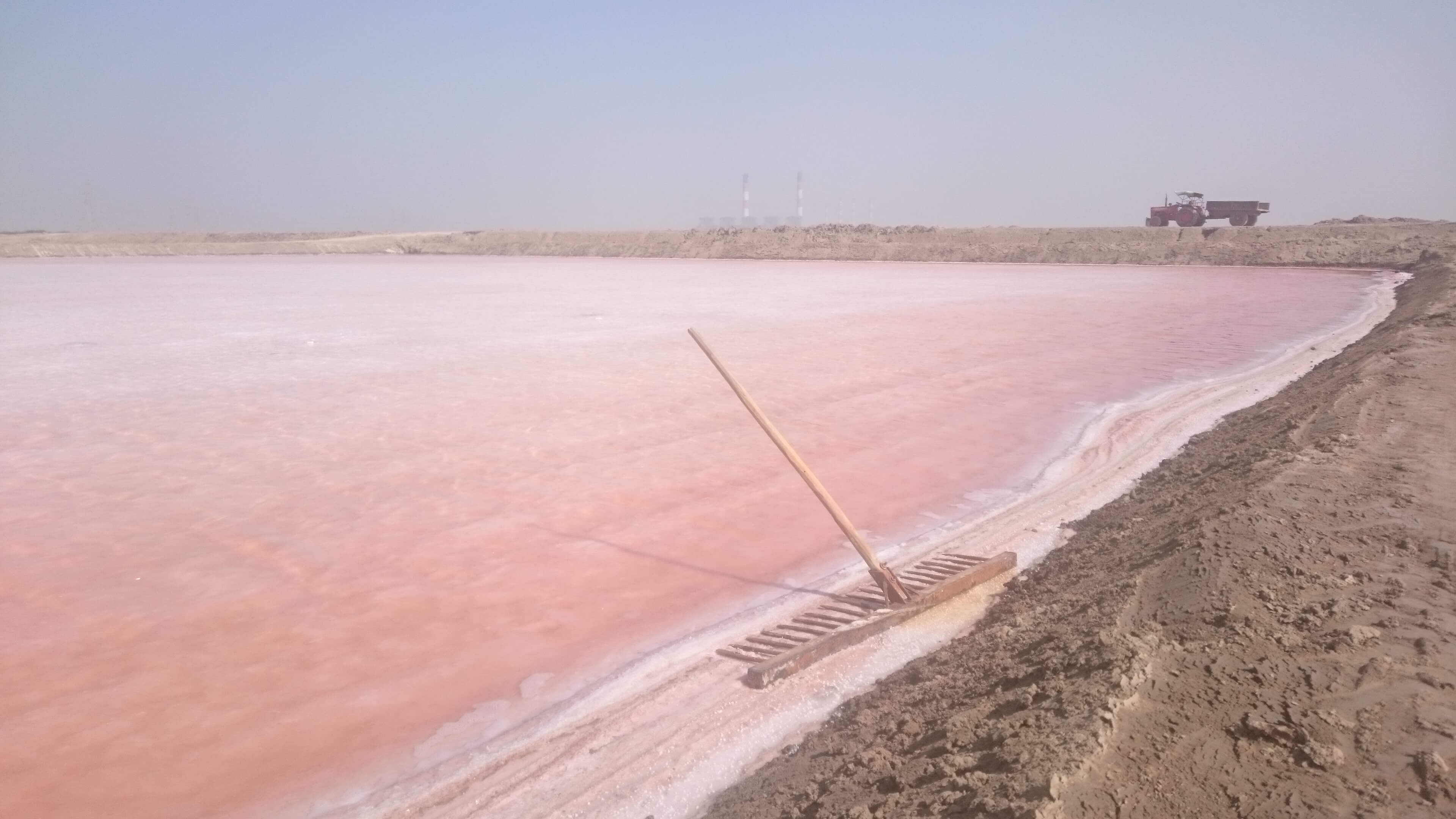 SALT – Rankers Group of Companies